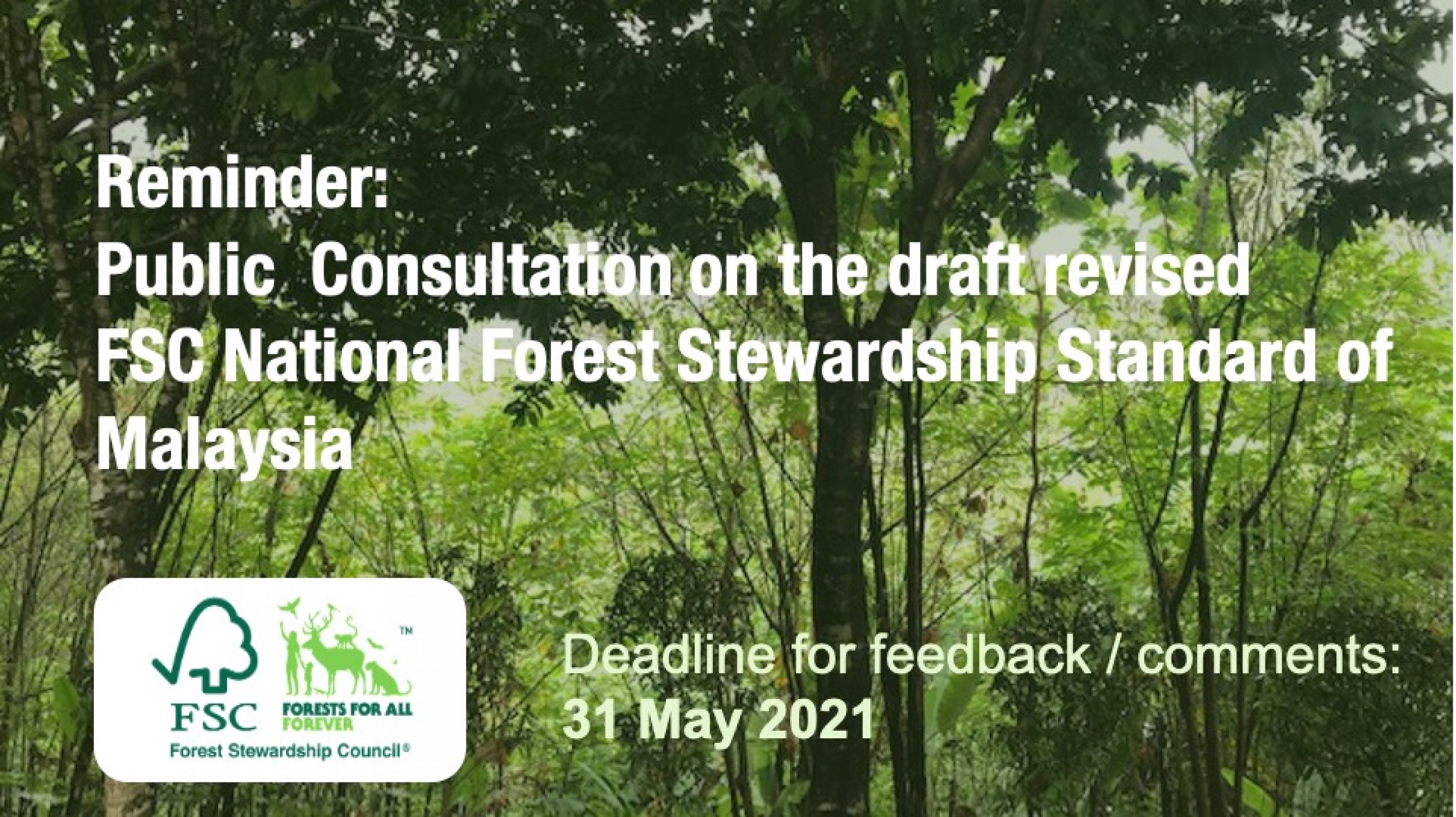 Important: Public Consultation on the draft revised FSC National Forest Stewardship Standard ...
